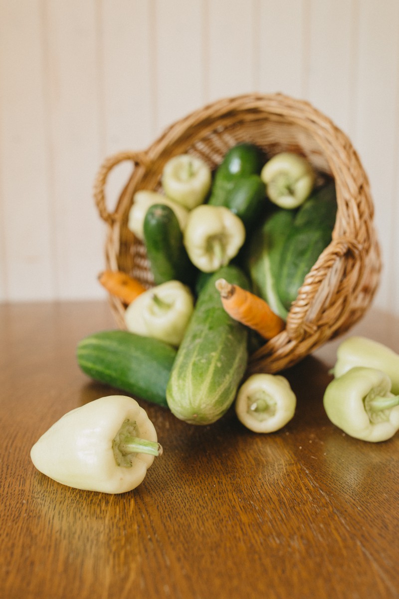 Repro Eko Farm – Relax, eat healthy, enjoy & restore